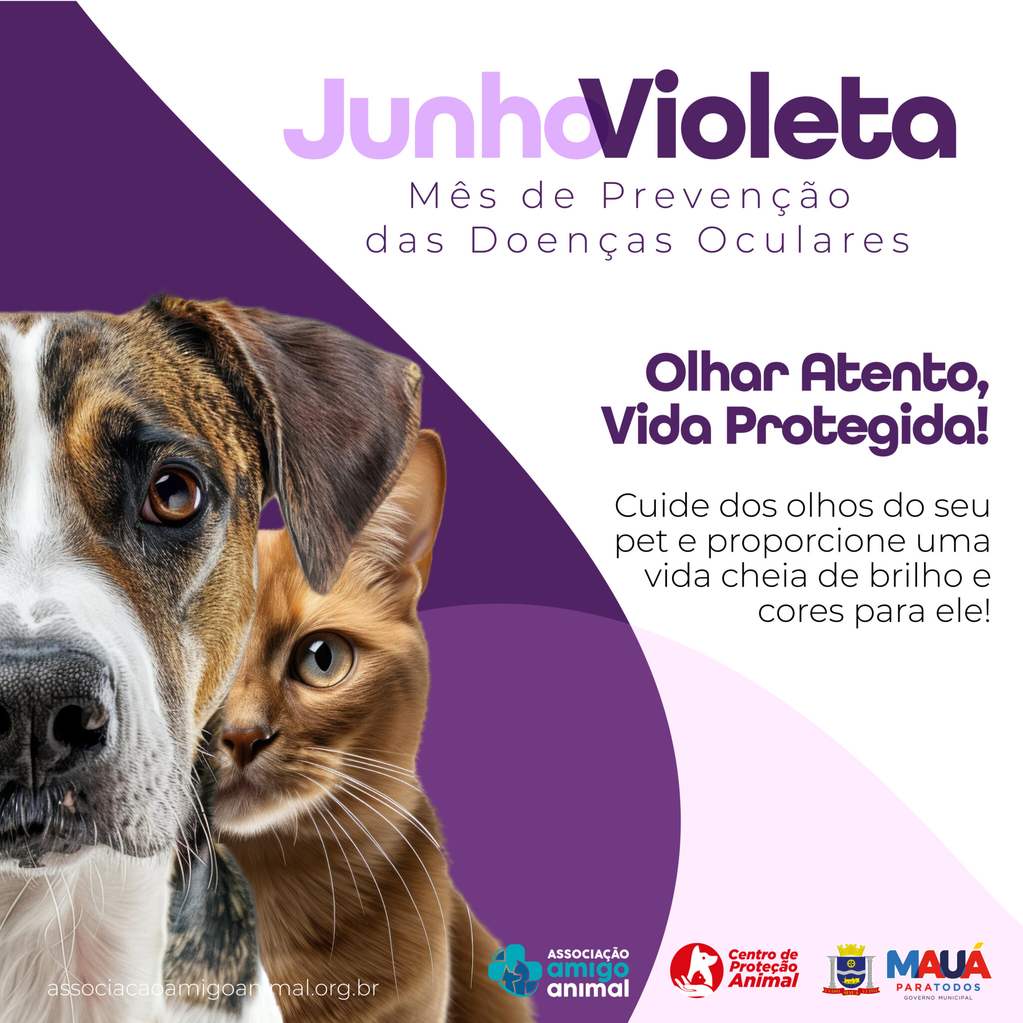 Junho Violeta – Mês de prevenção das doenças oculares! - Amigo Animal